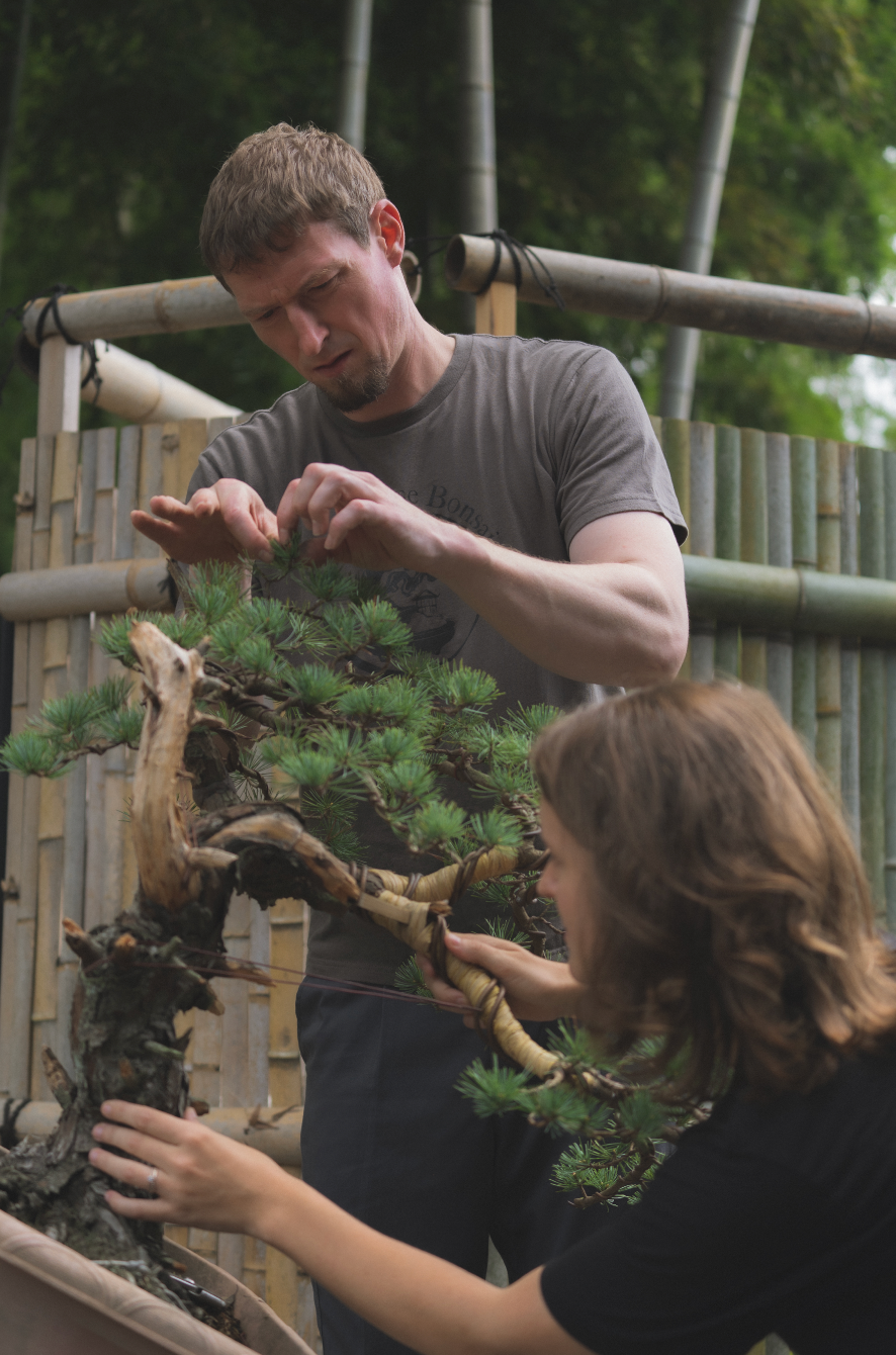 Exclusive Bonsai Masterclass in Japan | Tree House Bonsai with Adam Jones