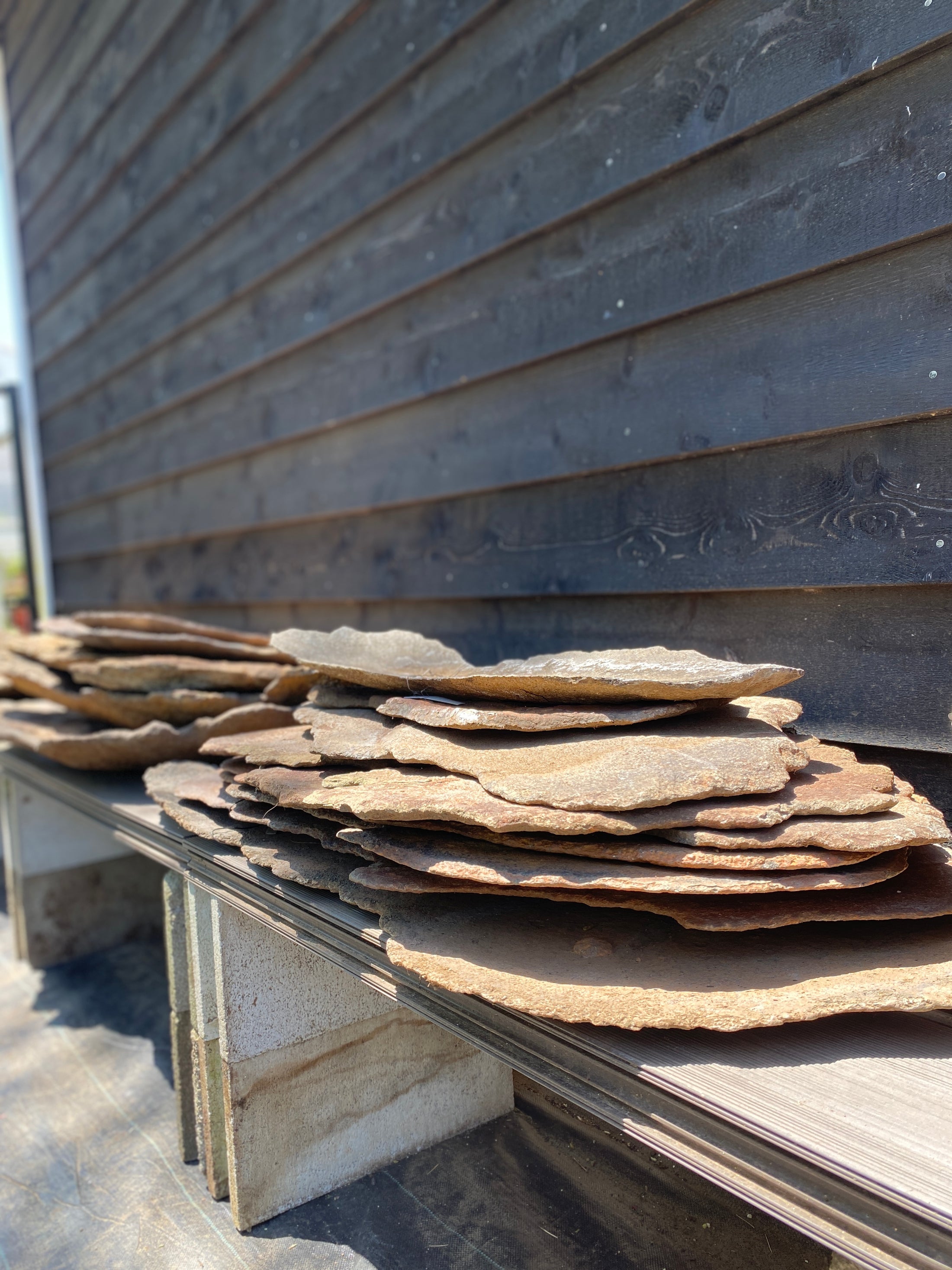 Essential Guide to Bonsai Slabs – Tree House Bonsai