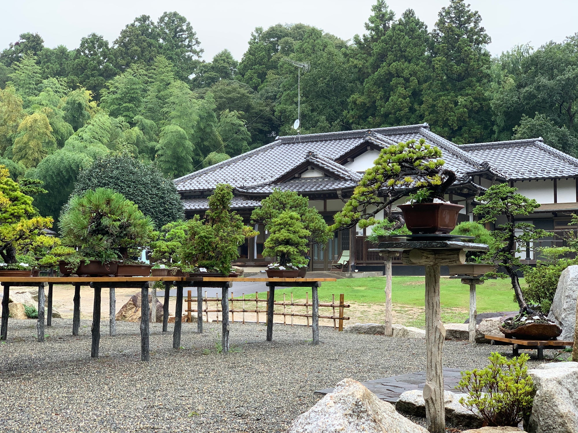 Tree House Bonsai: A Bonsai Destination in Japan