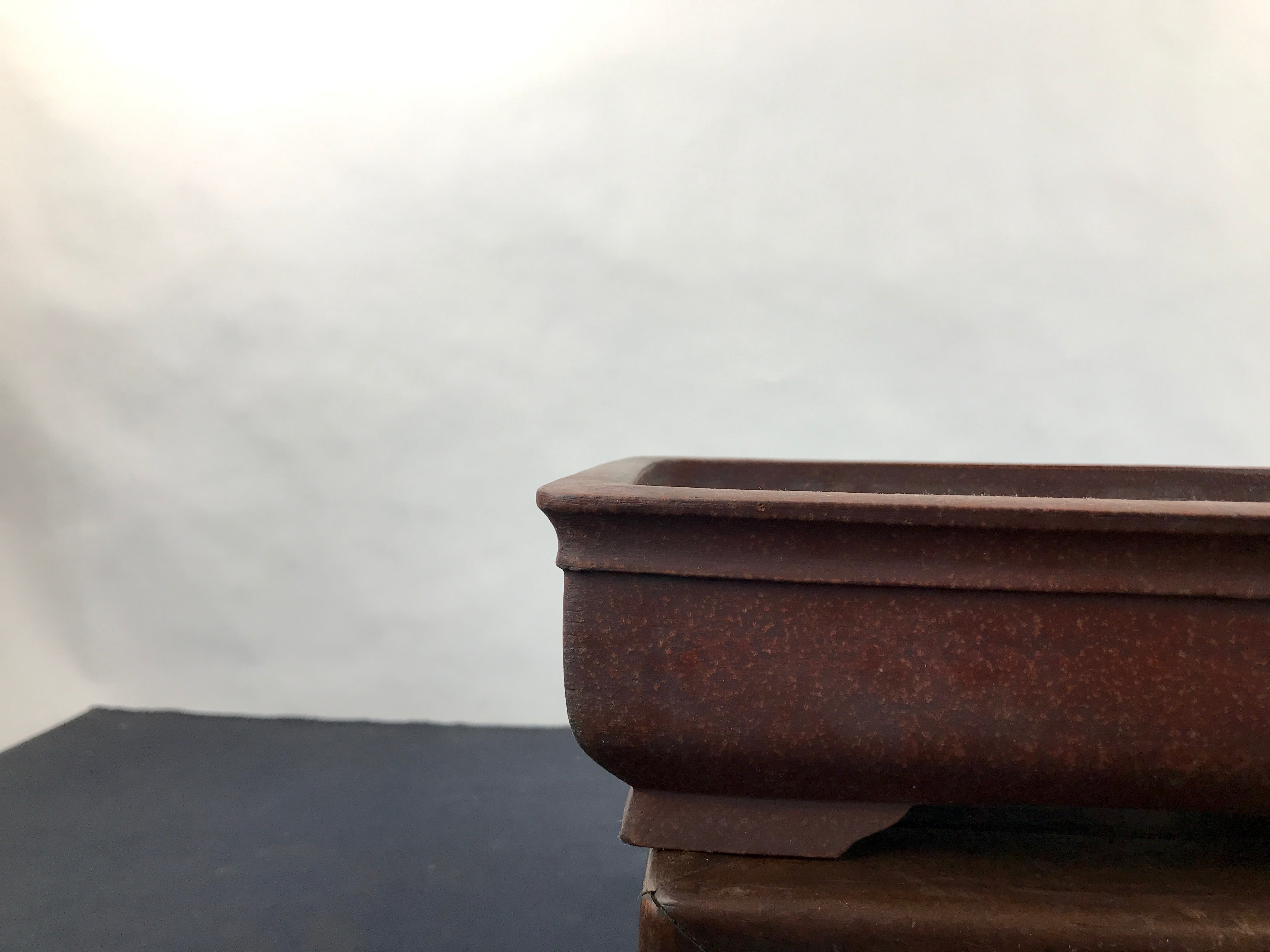 Shinto rectangle #THC-1209 – Tree House Bonsai