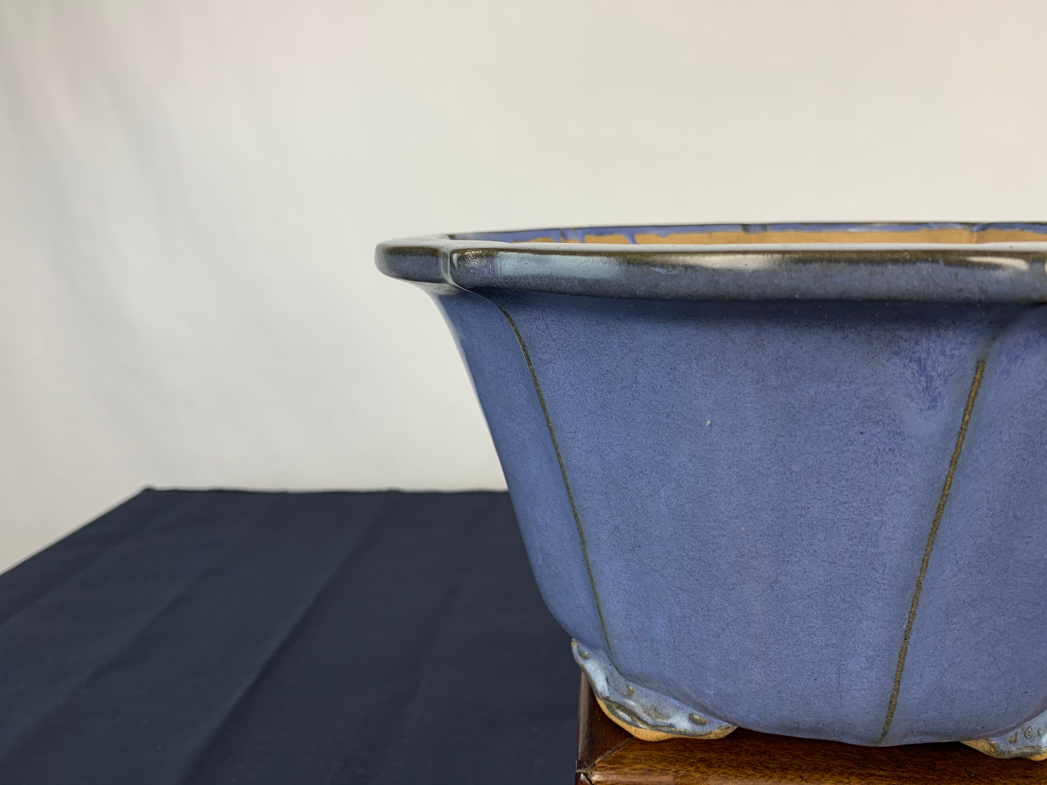 Shinto round #THC-0710 – Tree House Bonsai