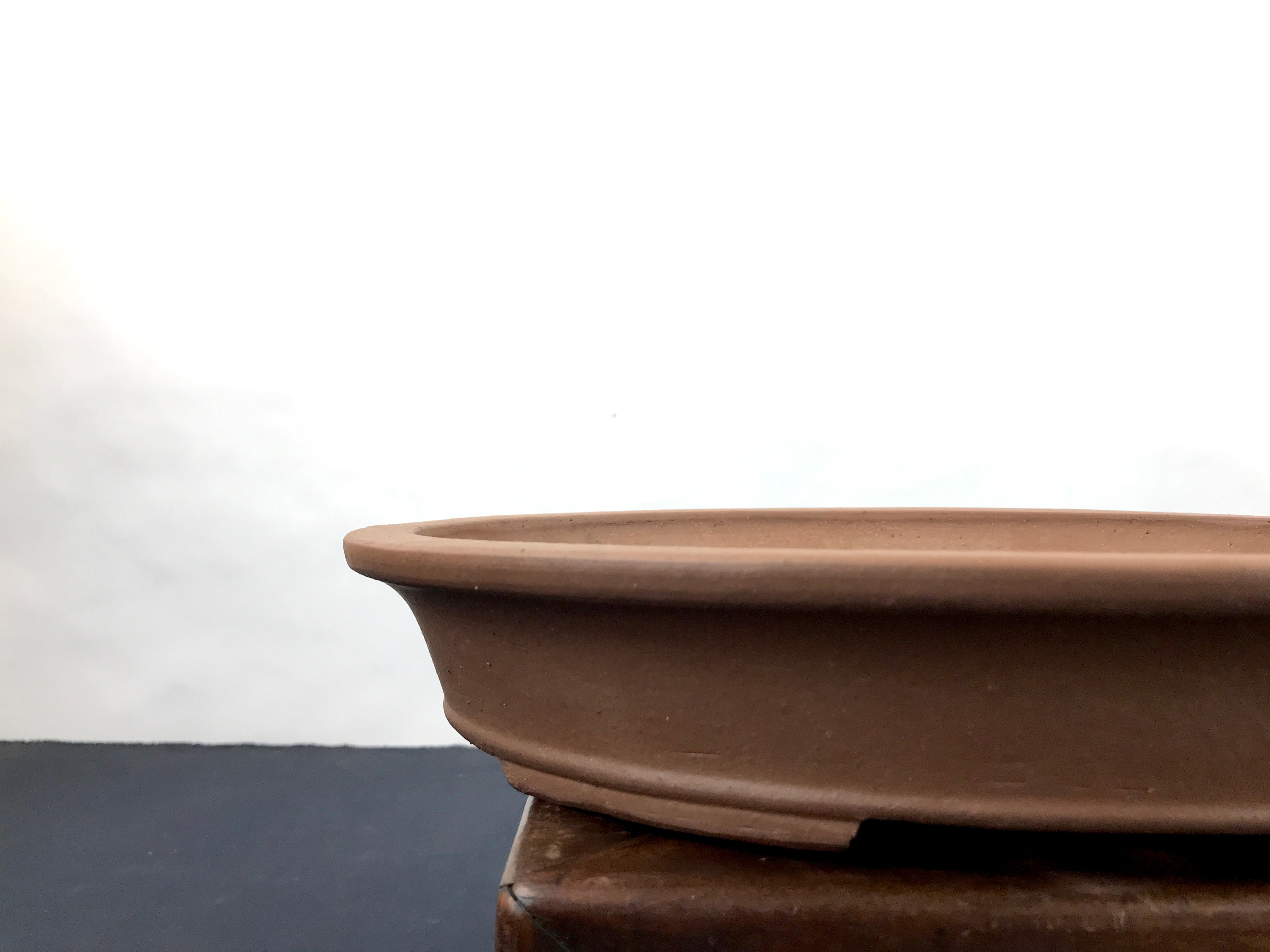 Shinto oval #THC-1228 – Tree House Bonsai