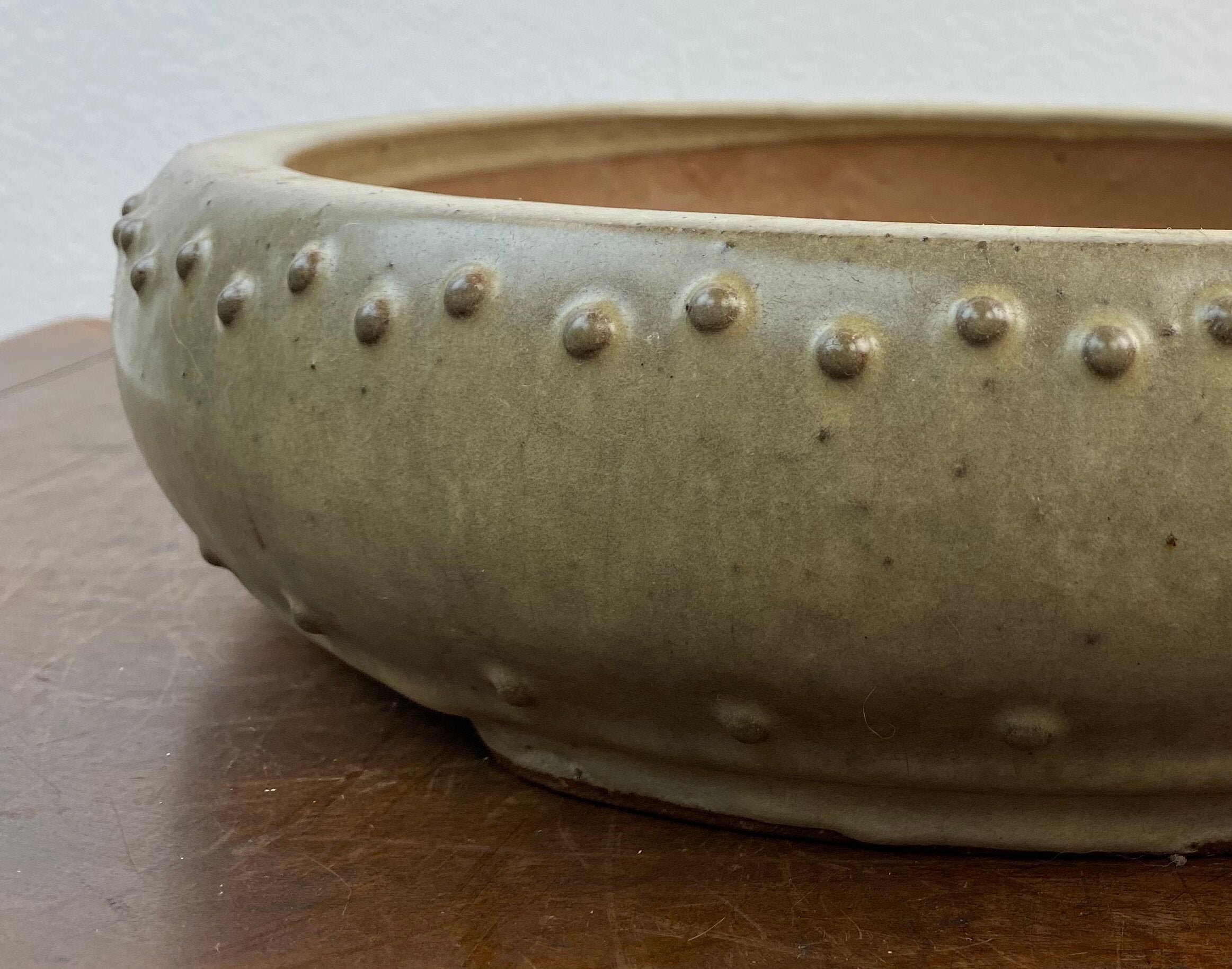 Shinto round #THC-0088 – Tree House Bonsai