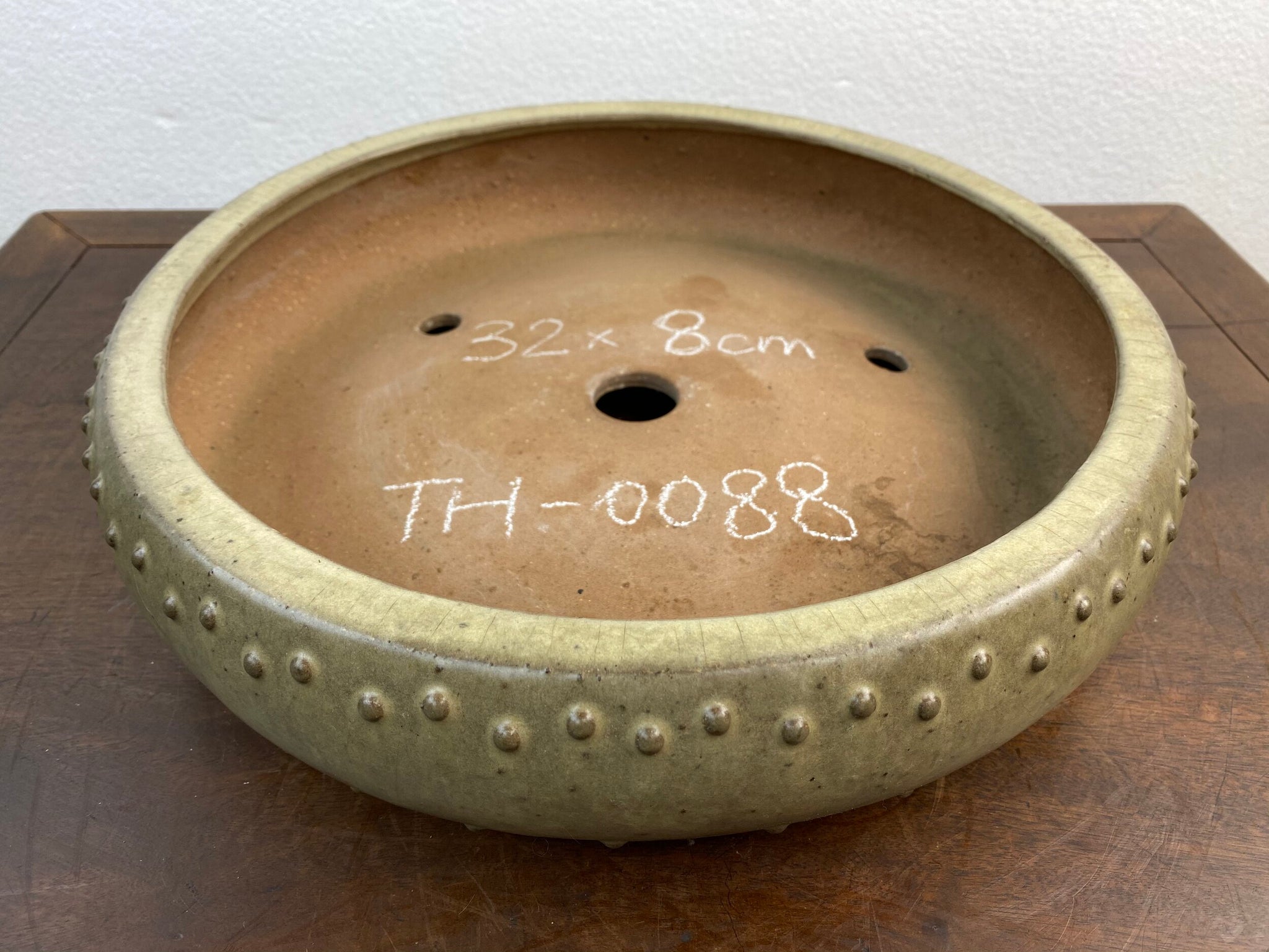 Shinto round #THC-0088 – Tree House Bonsai