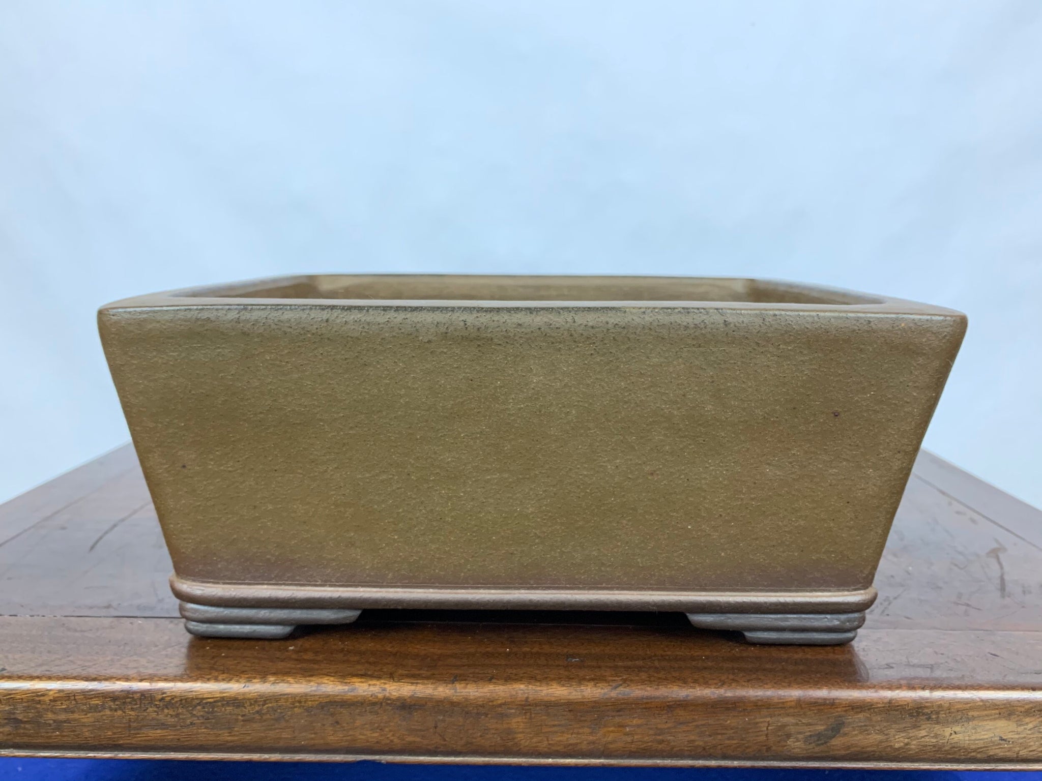 Gyozan rectangle #THC-0416 – Tree House Bonsai