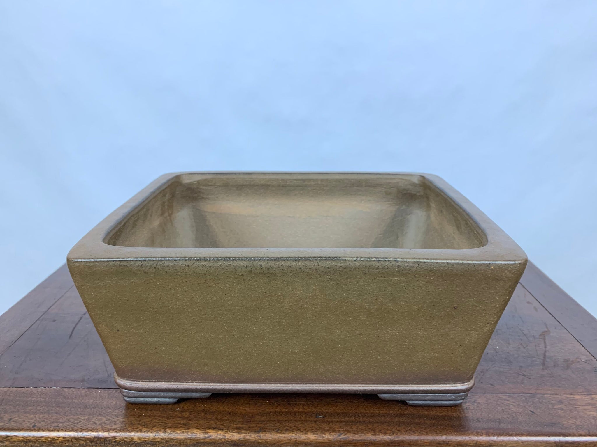 Gyozan rectangle #THC-0416 – Tree House Bonsai