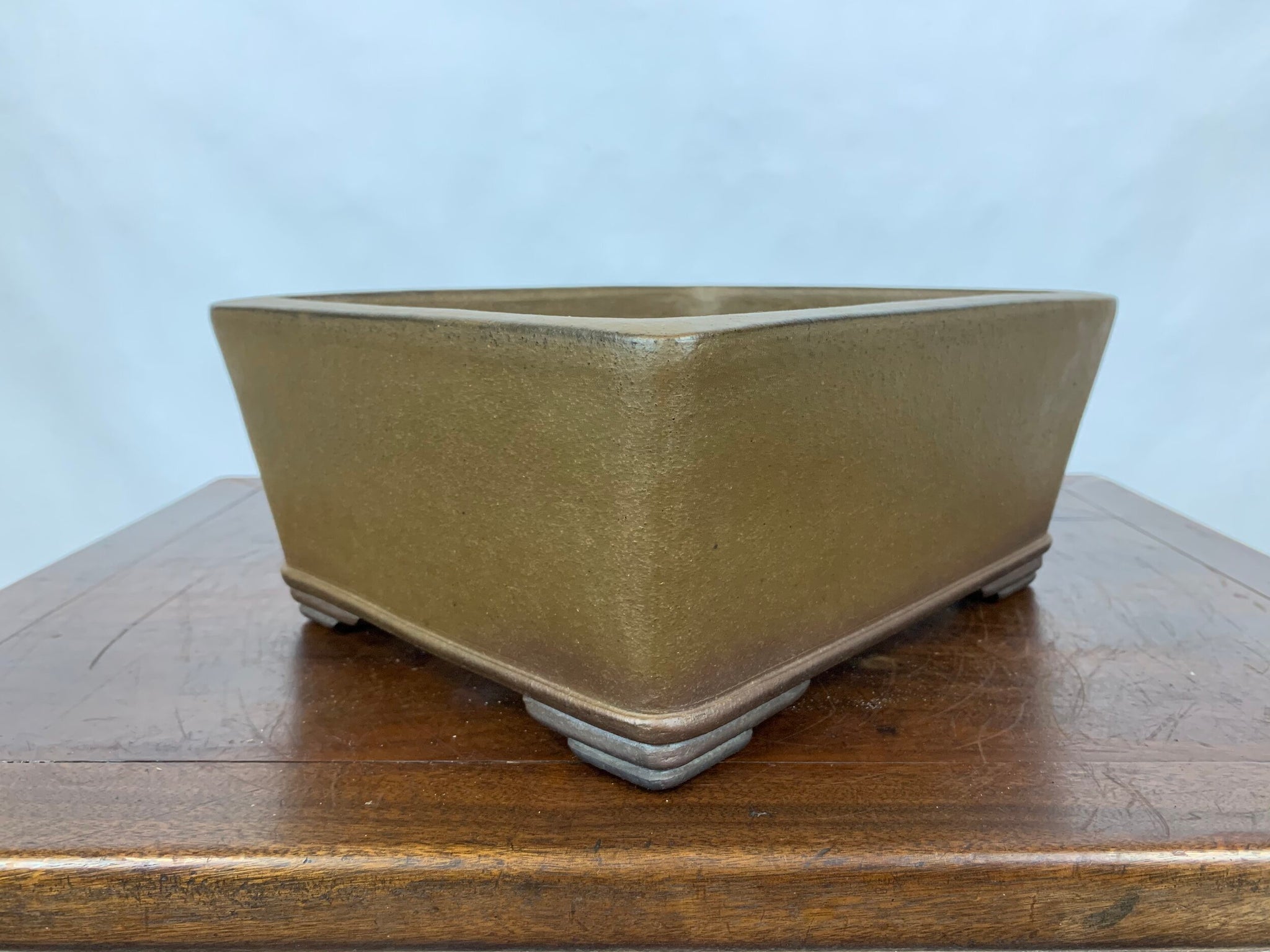 Gyozan rectangle #THC-0416 – Tree House Bonsai