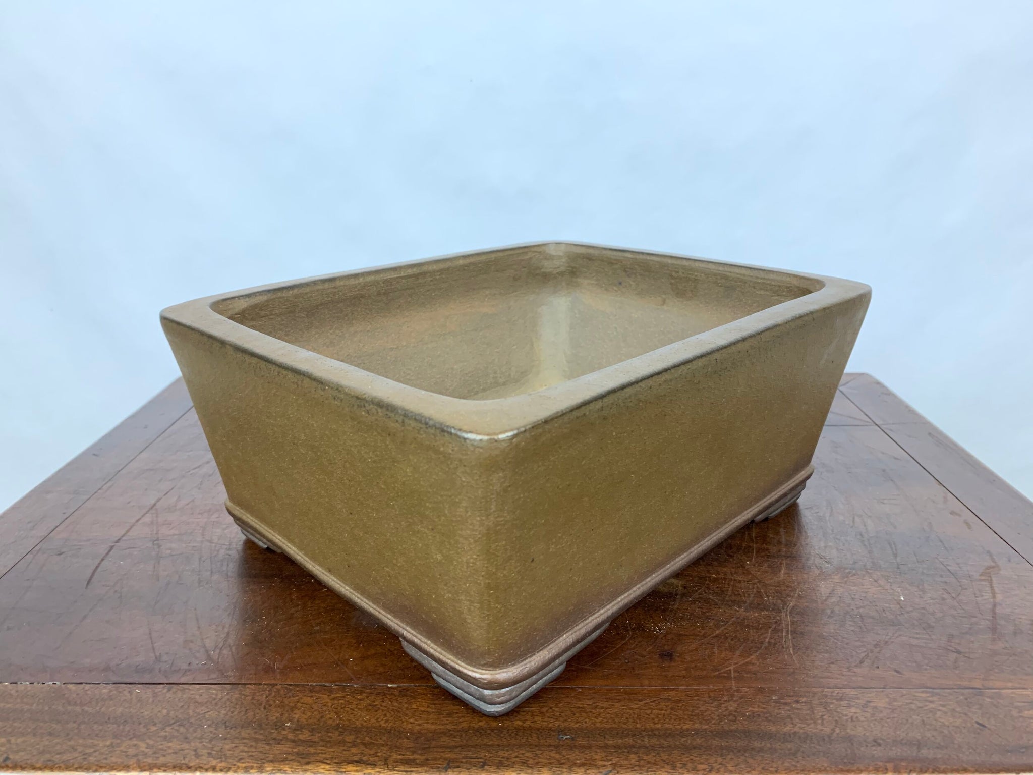 Gyozan rectangle #THC-0416 – Tree House Bonsai