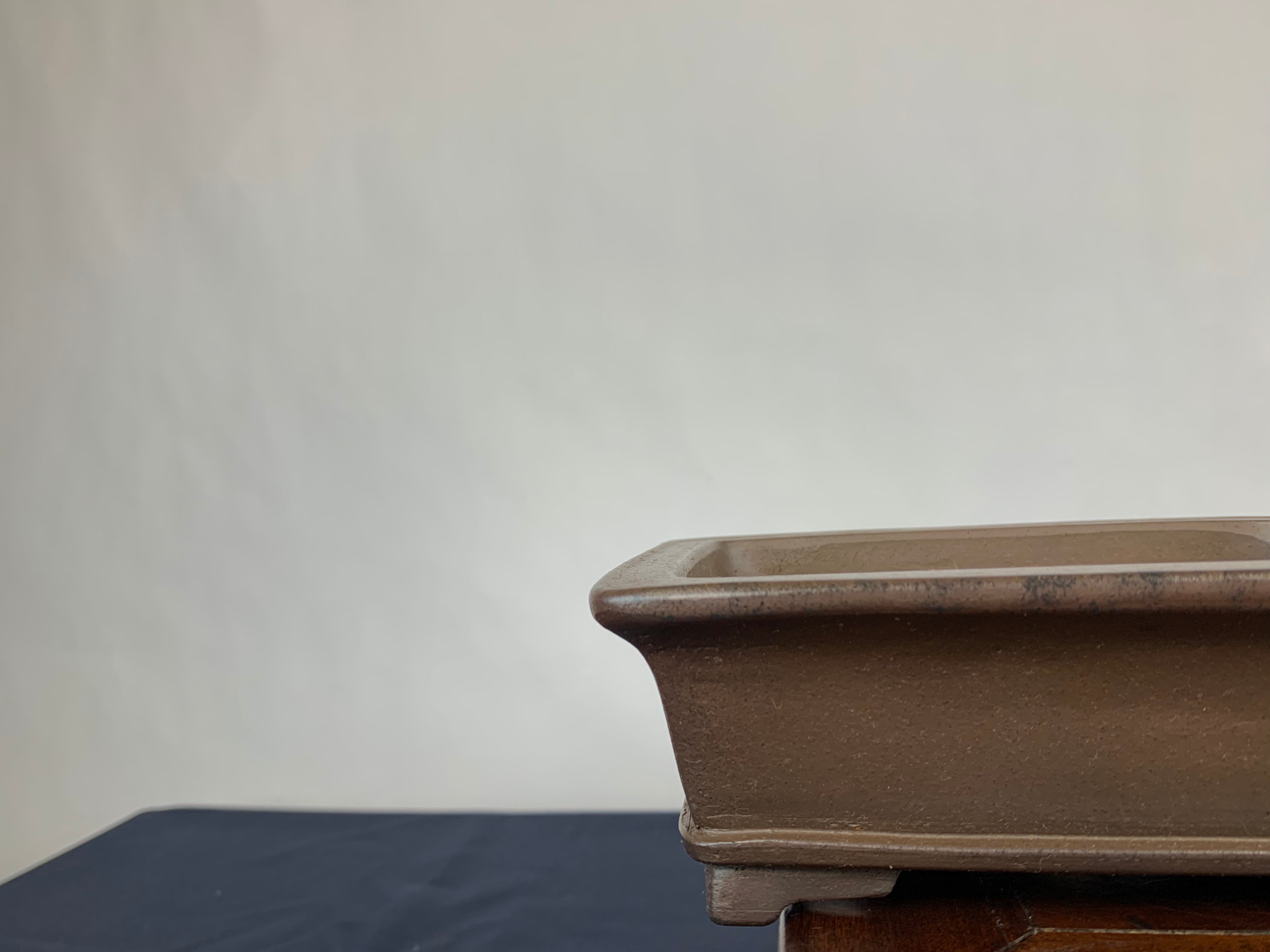 Gyozan rectangle #THC-0991 – Tree House Bonsai