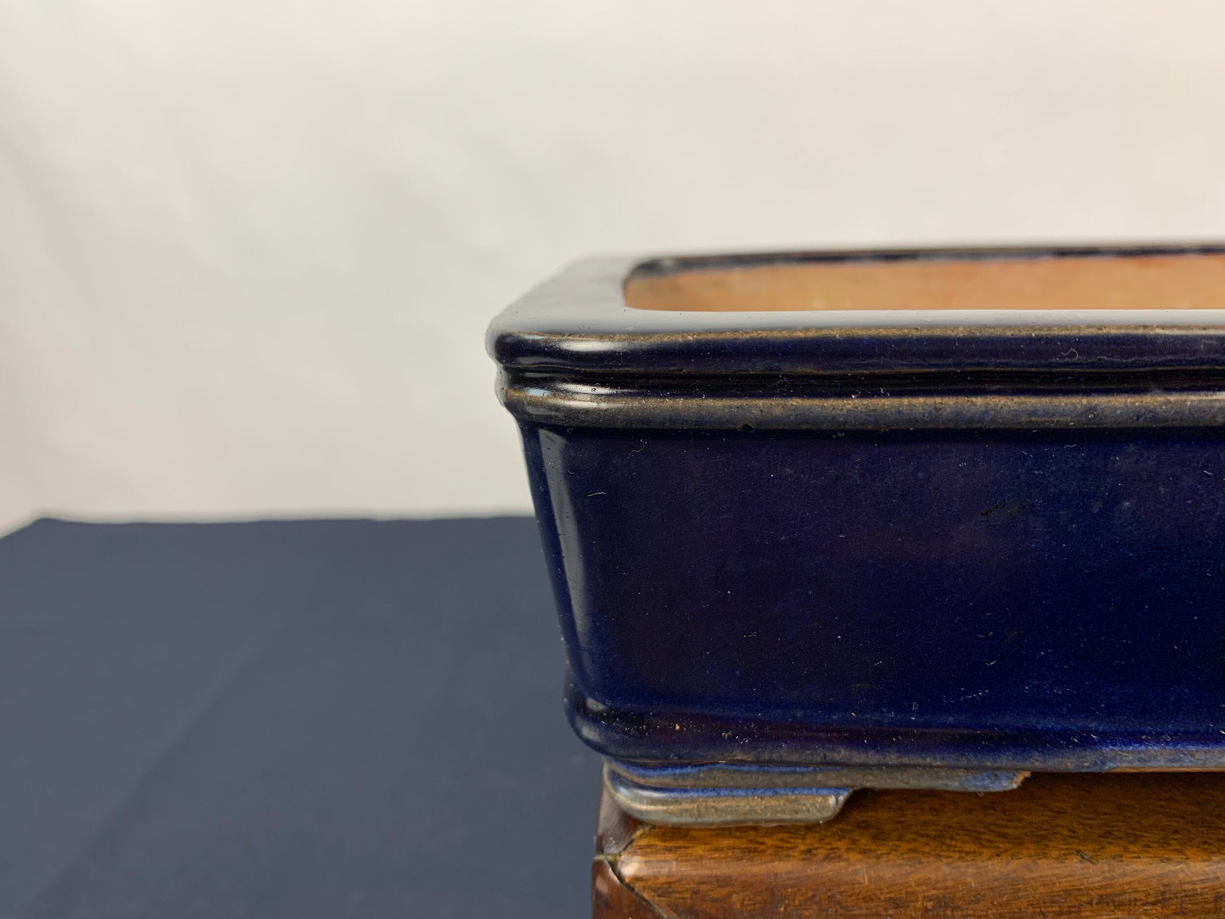 Shinto rectangle #THC-0560 – Tree House Bonsai