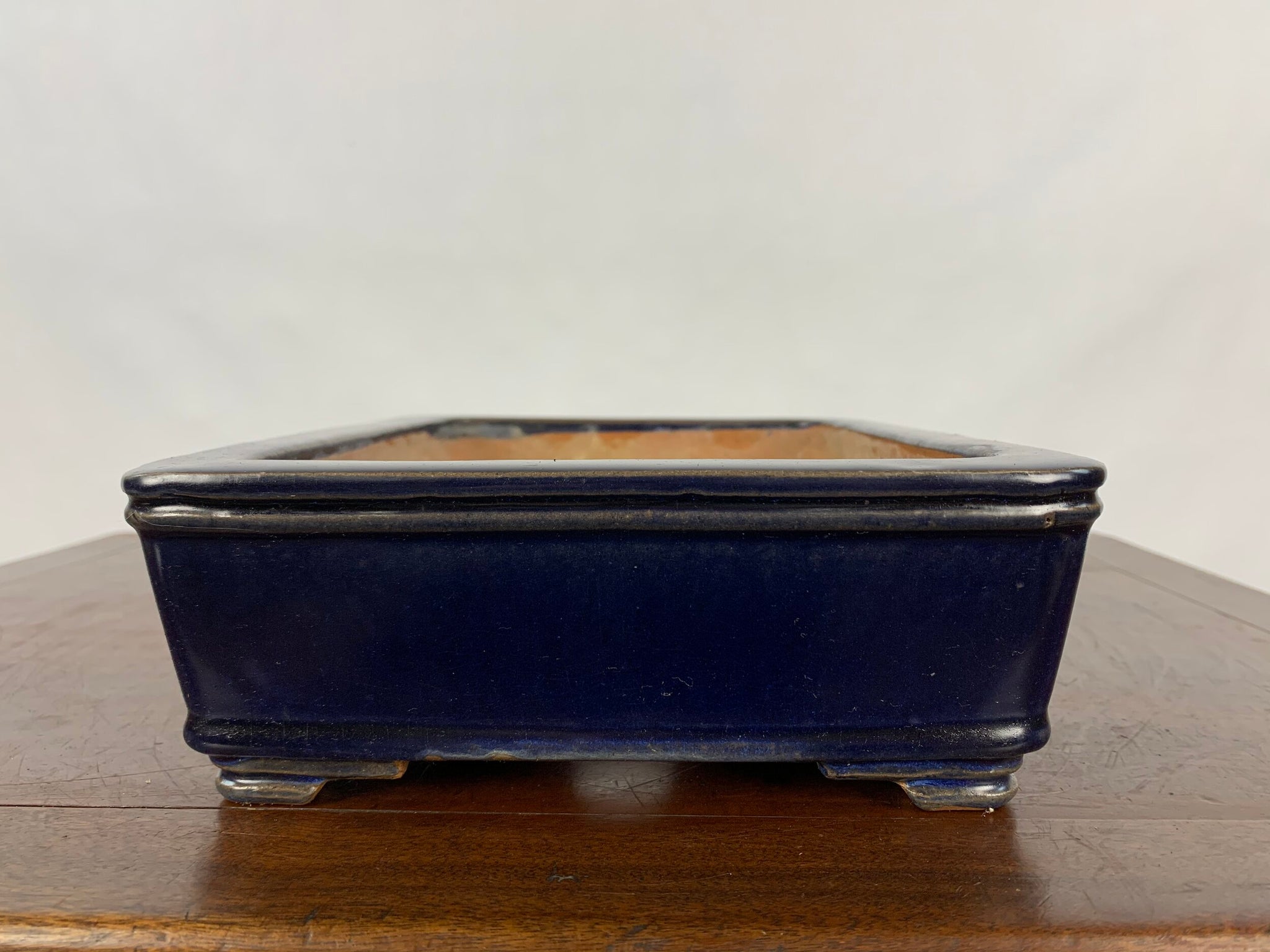 Shinto rectangle #THC-0560 – Tree House Bonsai