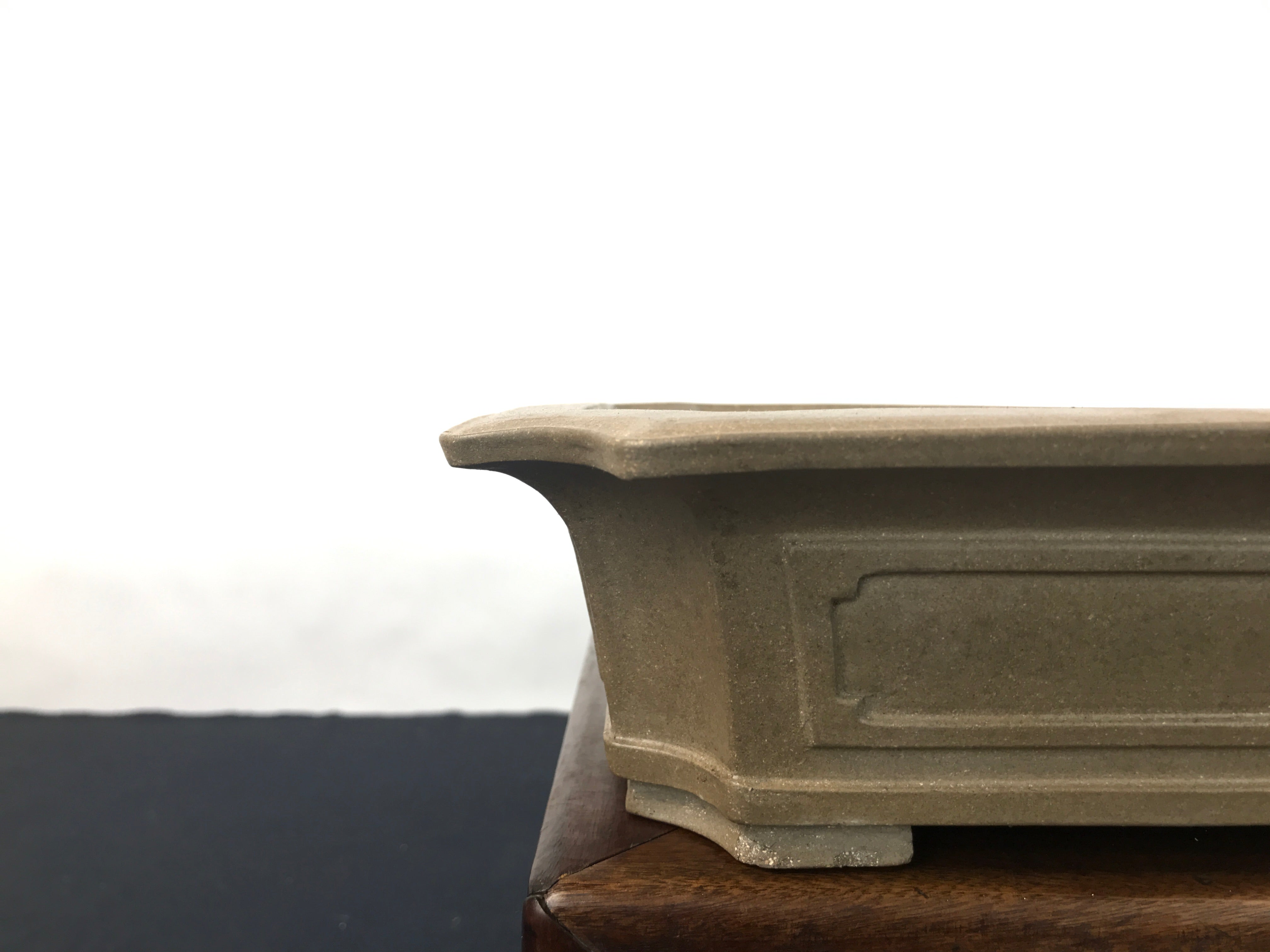 Shinto rectangle #THC-1110 – Tree House Bonsai