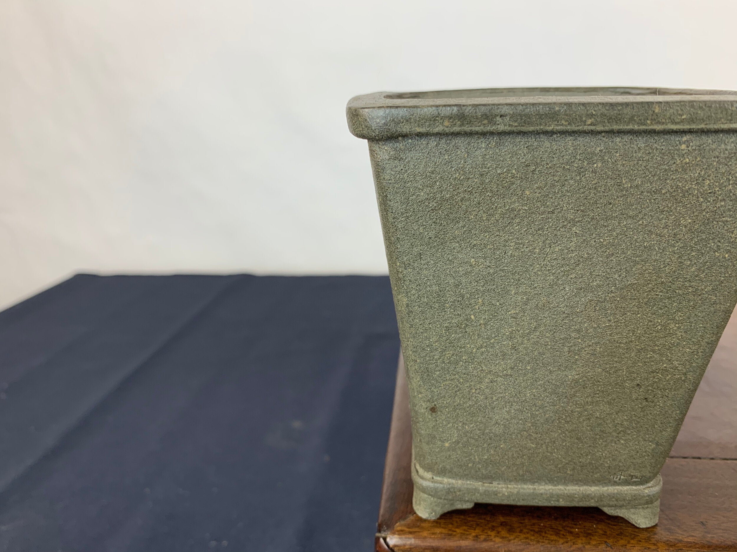 Syuzan square #THC-0004 – Tree House Bonsai